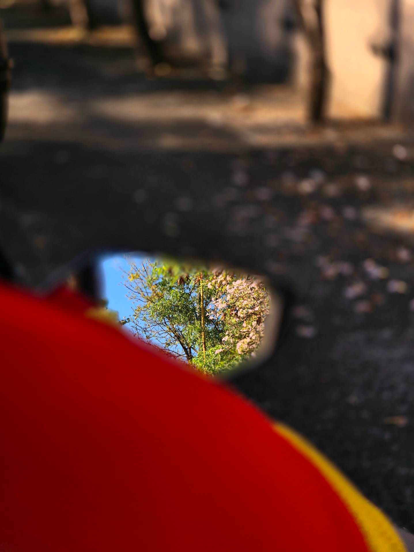 Portrait - Samsung Members