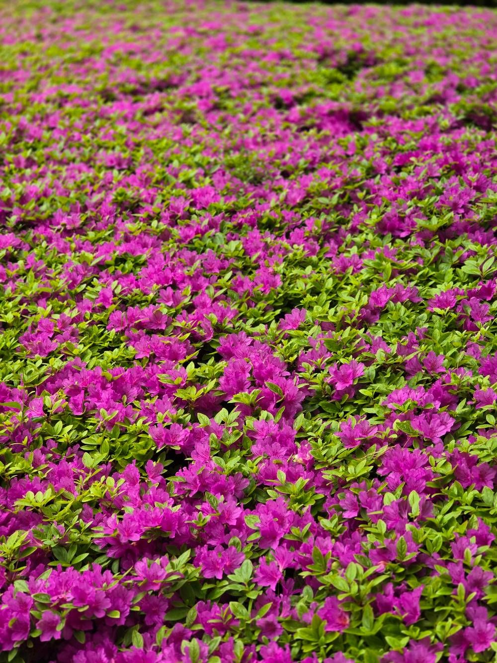 오늘하루도 화이팅 - Samsung Members