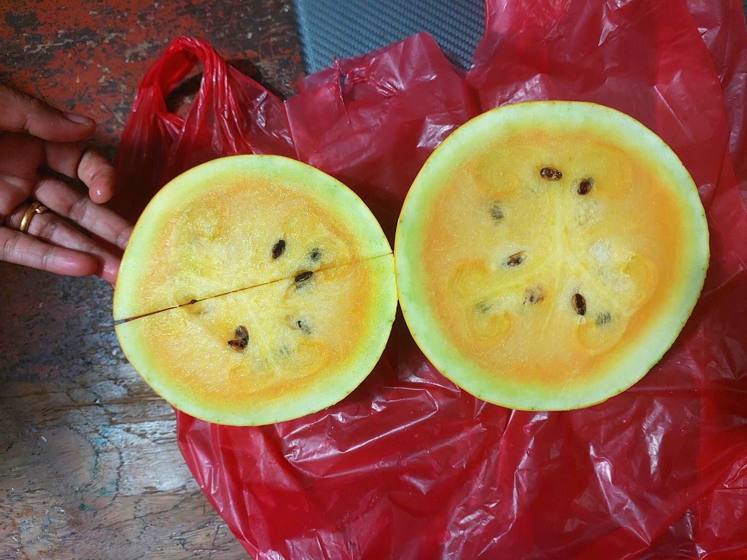 Semangka kuning - Samsung Members