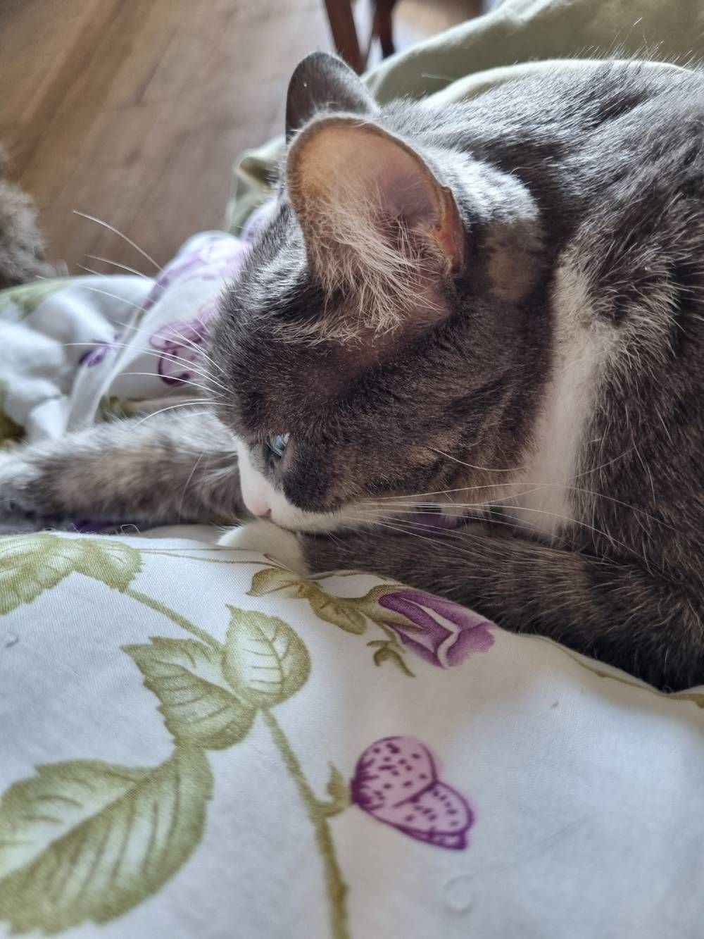 Como estão nesse feriado? - Samsung Members