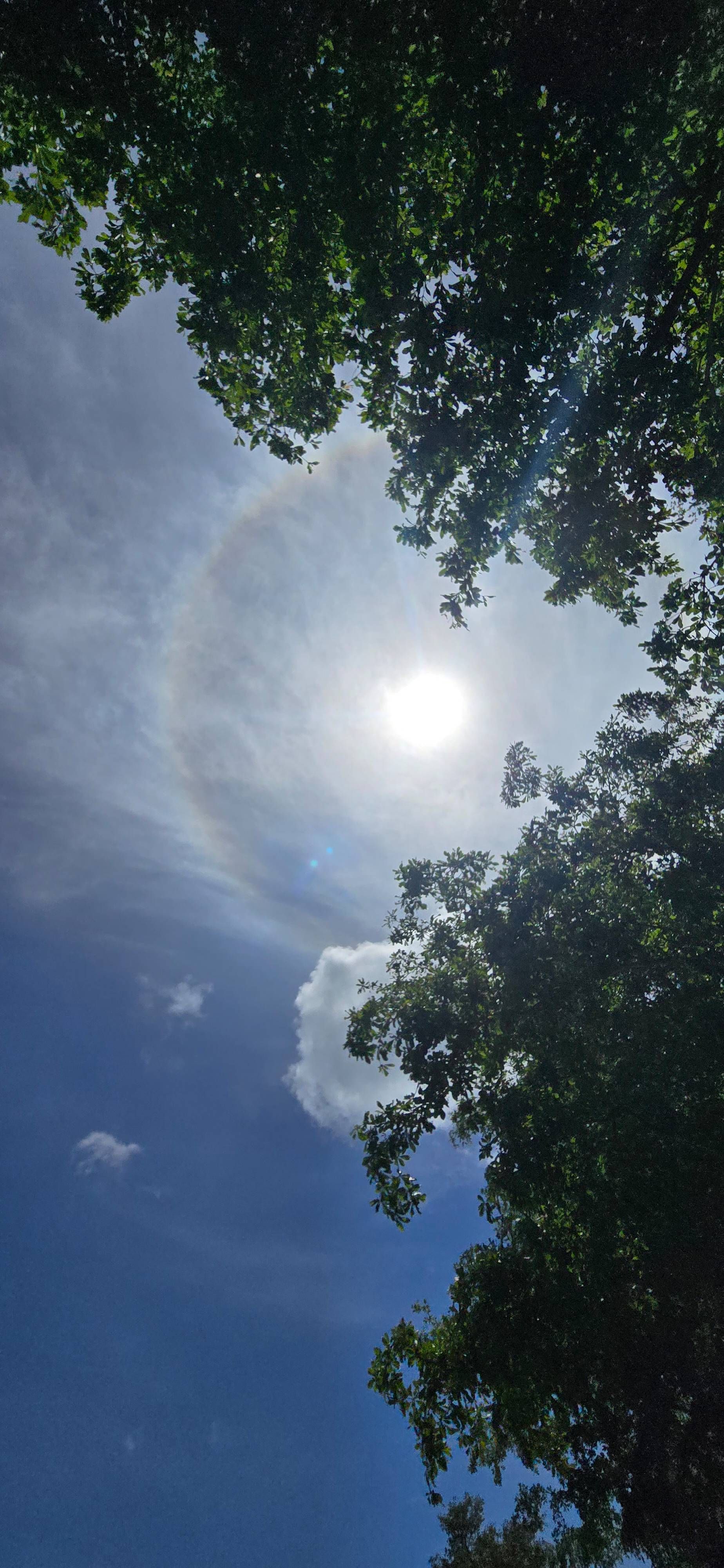 Sol...arcoiris S24 Ultra - Samsung Members