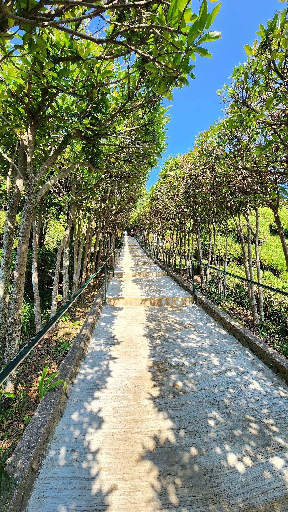 갤럭시s22+로 찍은 거제사진2 - Samsung Members