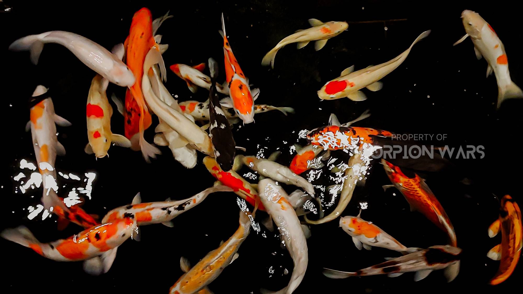 Lukisan Sesungguhnya 🤩📸 - Samsung Members