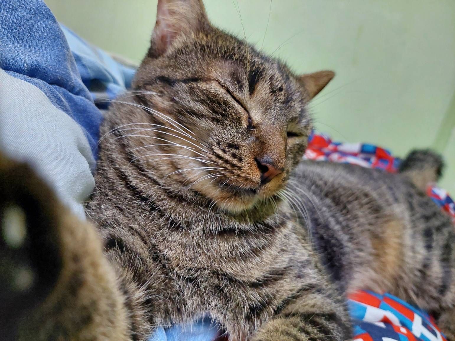 Michi-Selfie - Samsung Members