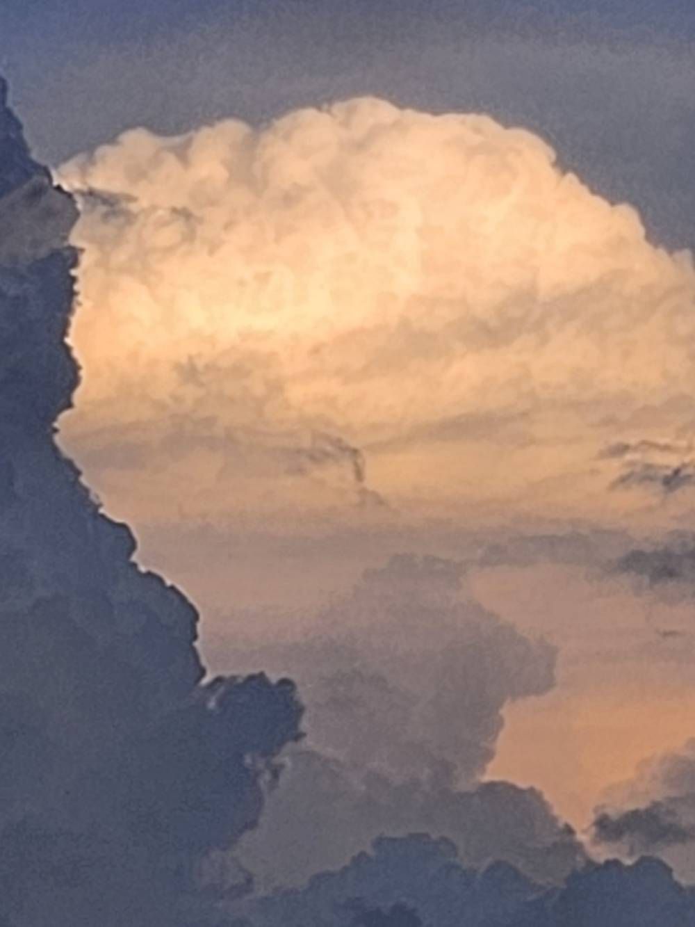 여의도공원 하늘♡ (갤럭시Z플립4) - Samsung Members