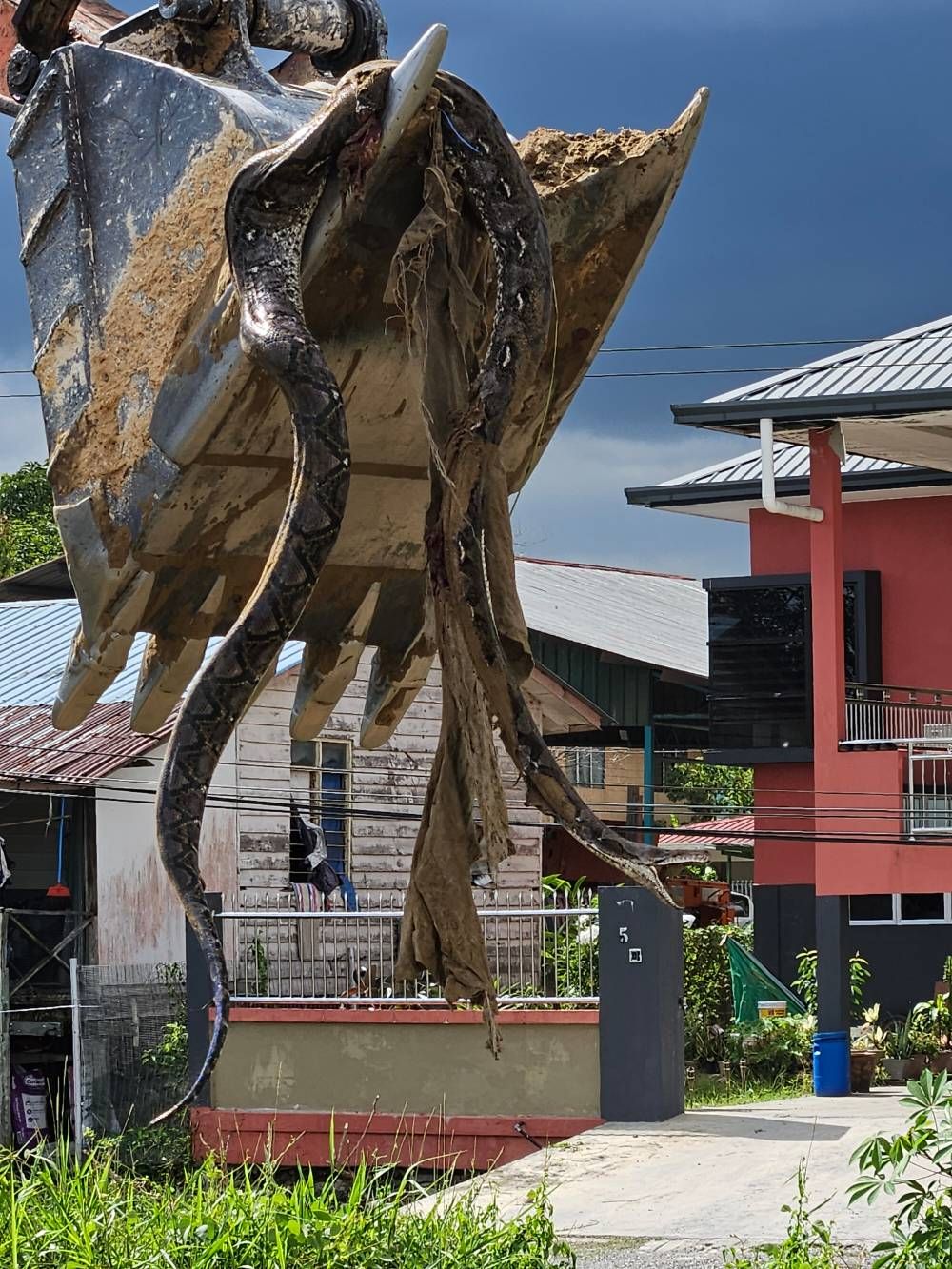 Snake - Samsung Members