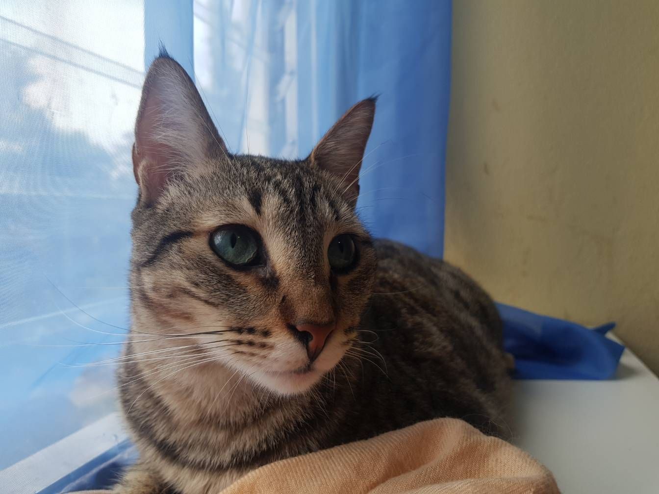 El Chiquitín y su Equipo con el poderosísimo S8 - Samsung Members