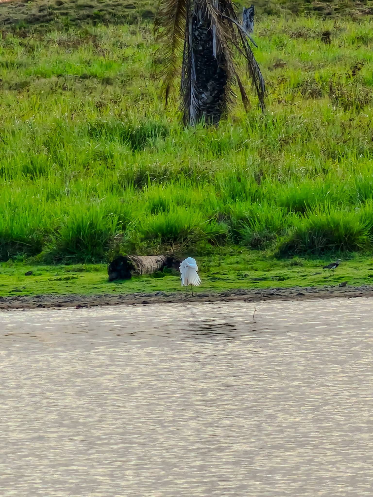 Zoom de 30x bem aproveitável. - Samsung Members