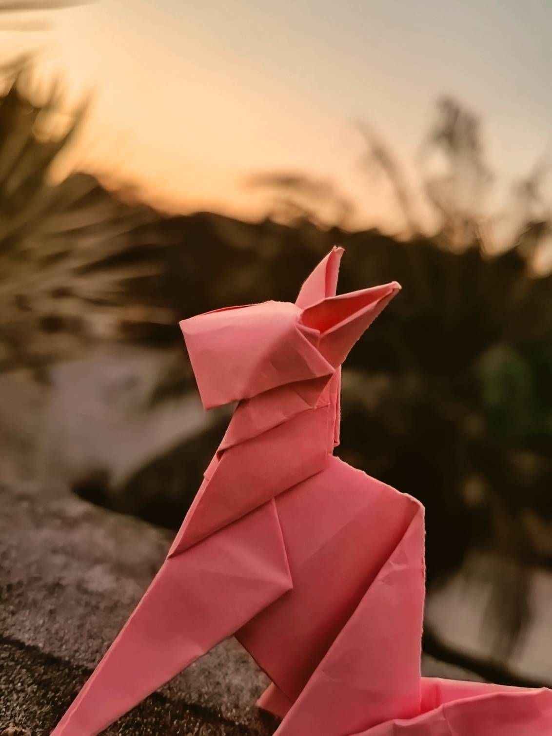 Origami de 🐈 ótima noite, Members 😽 - Samsung Members