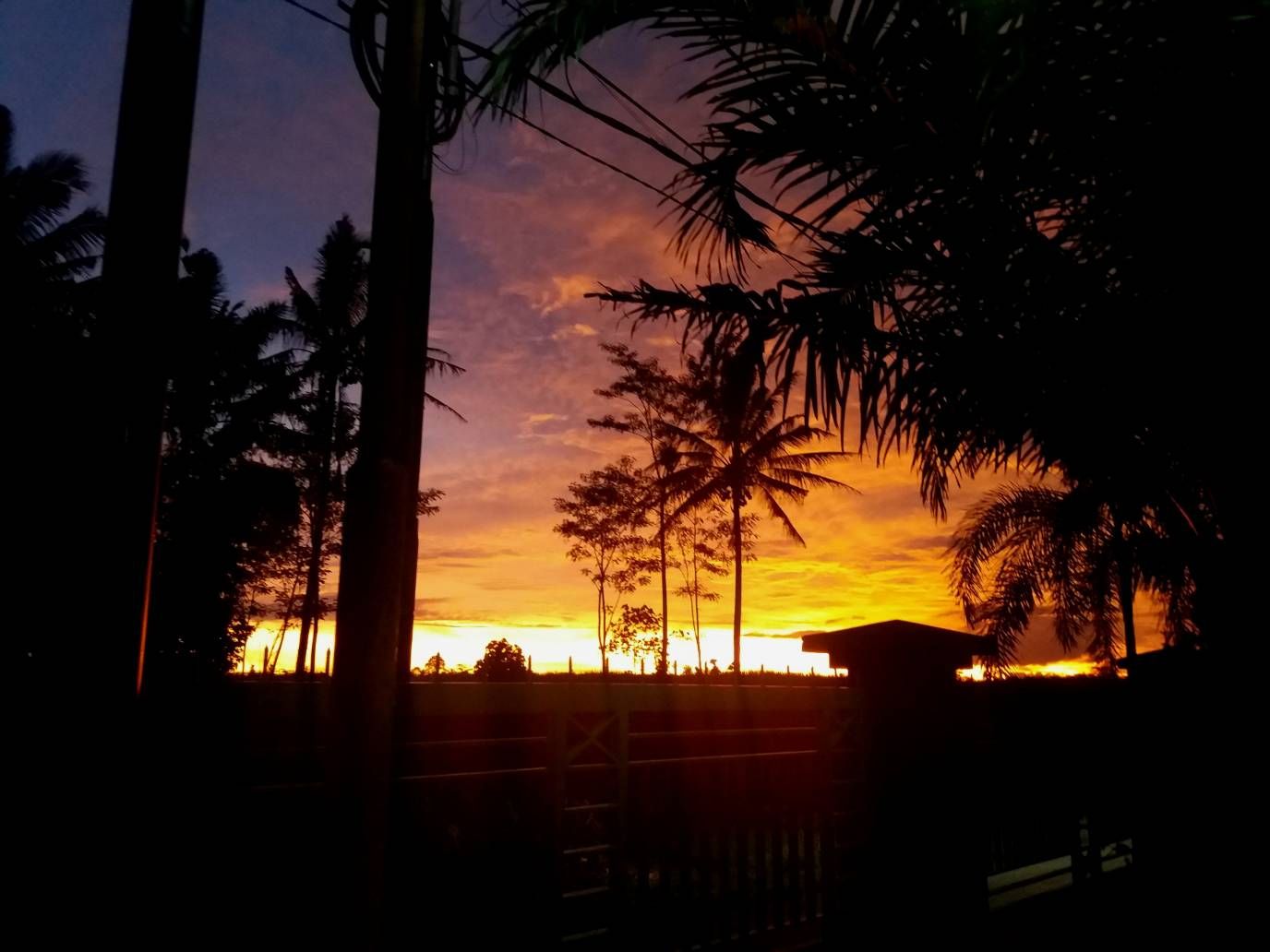 LUKISAN TUHAN - Samsung Members