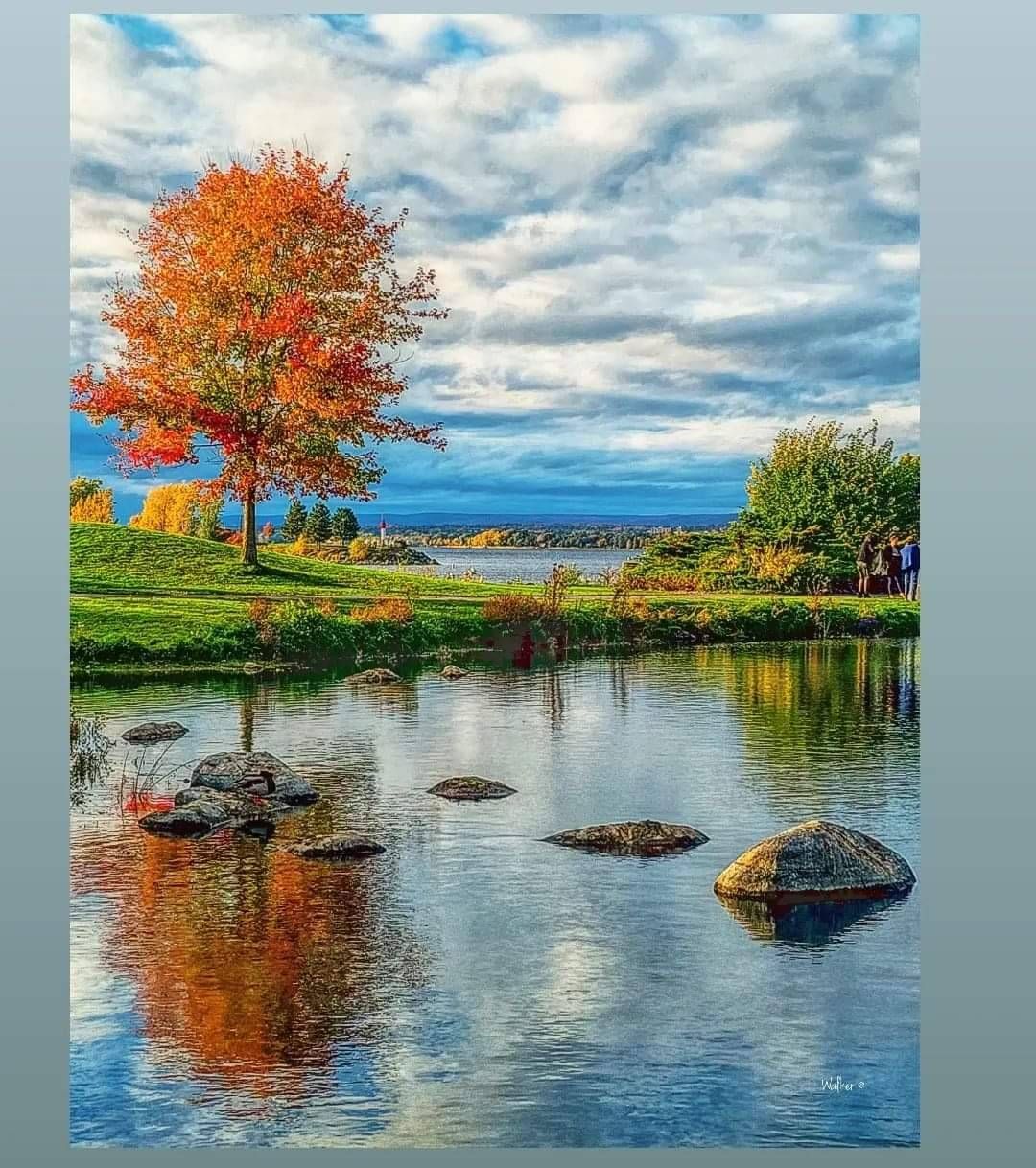 Pond - Samsung Members