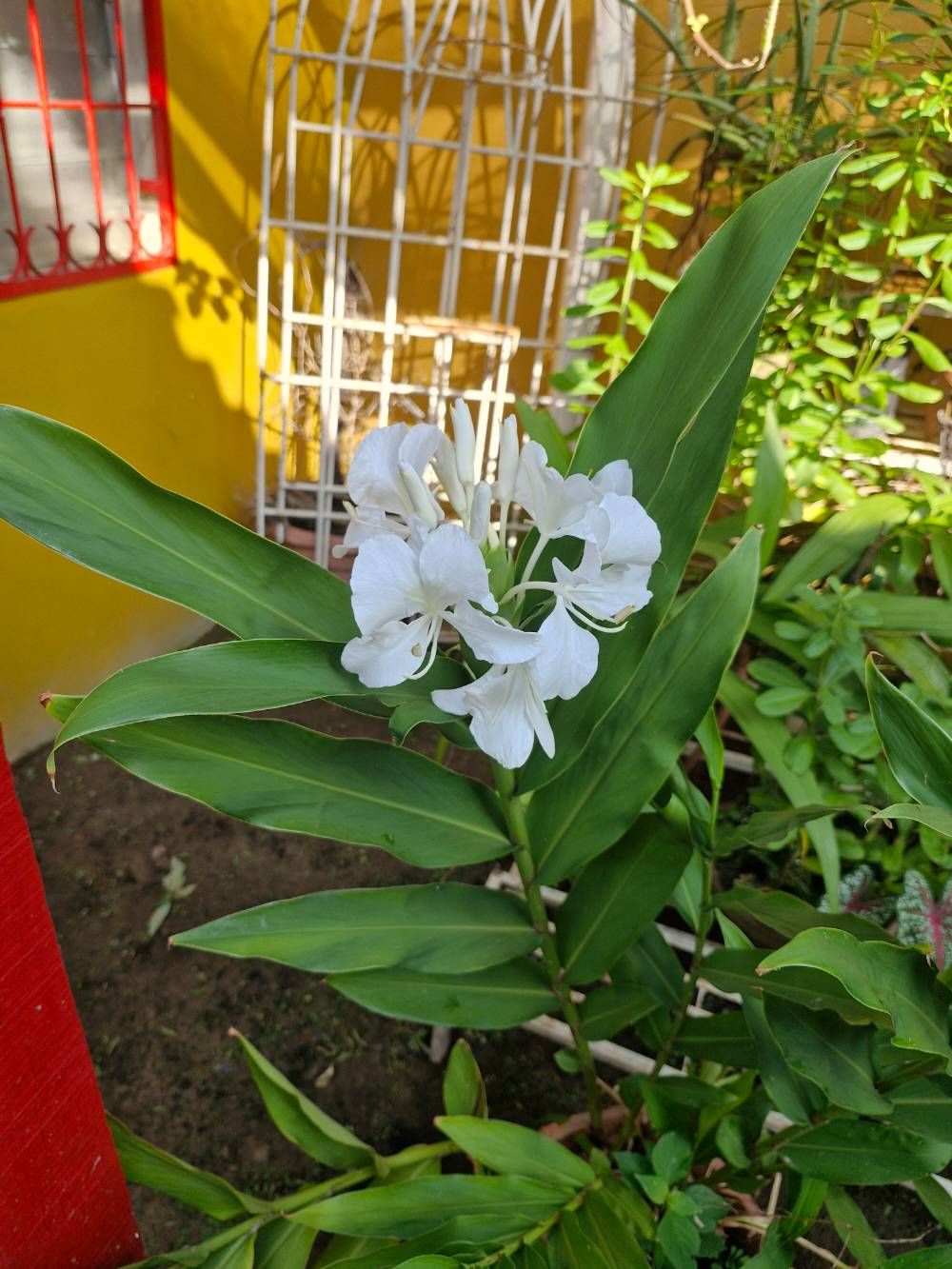 S23FE Camera - Samsung Members