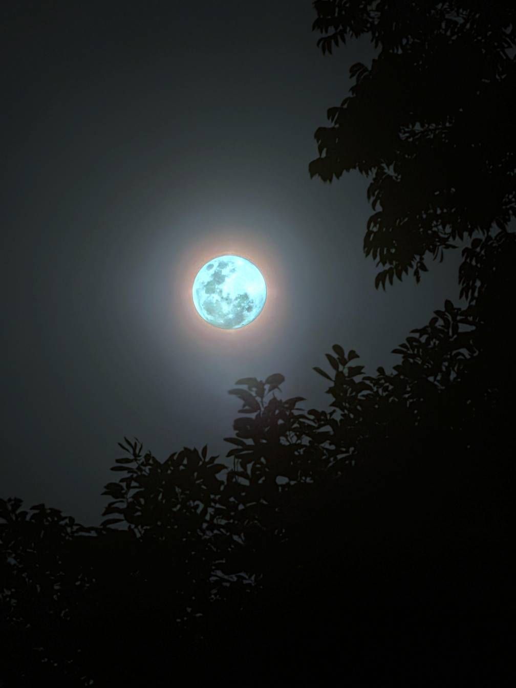 Super Lua - Samsung Members