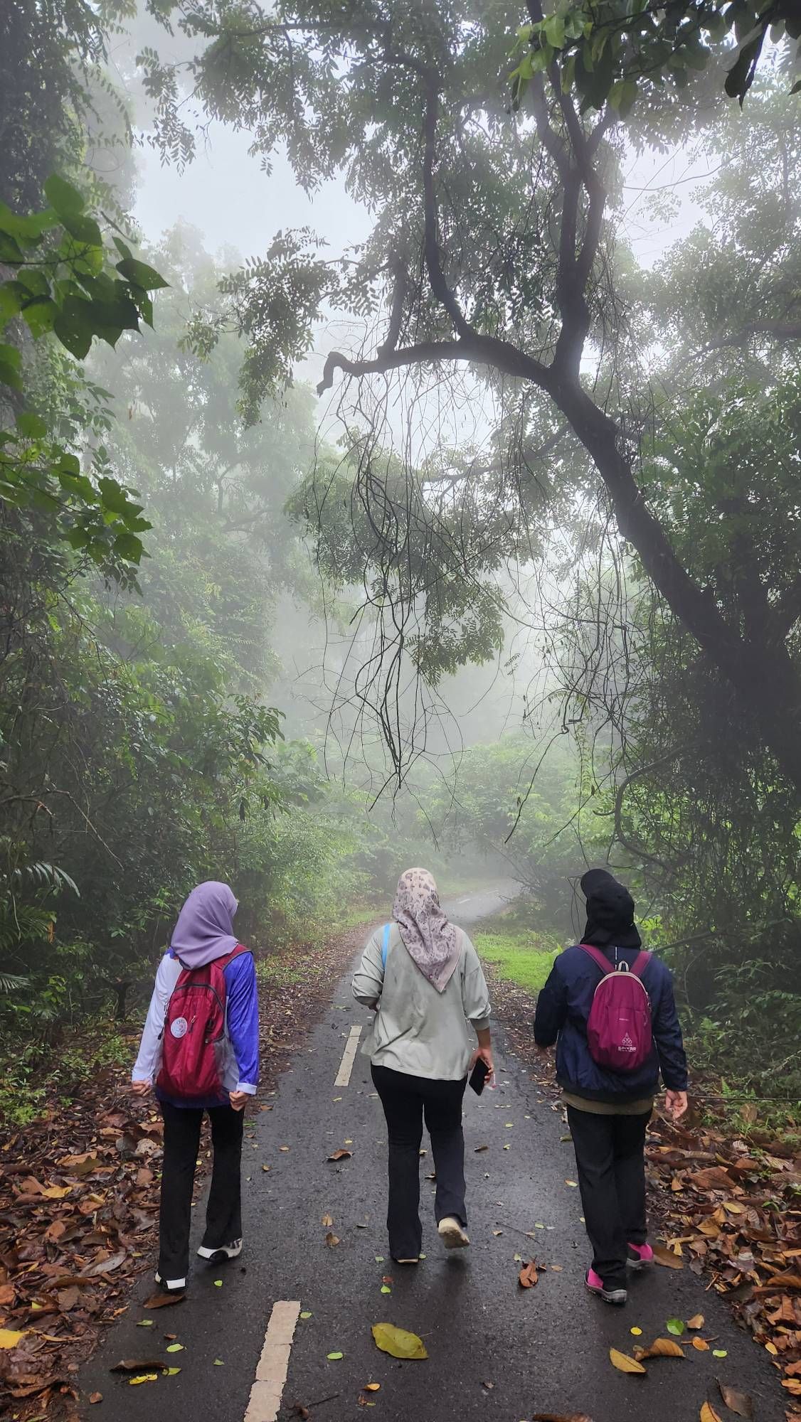 Bukit Jugra - Samsung Members