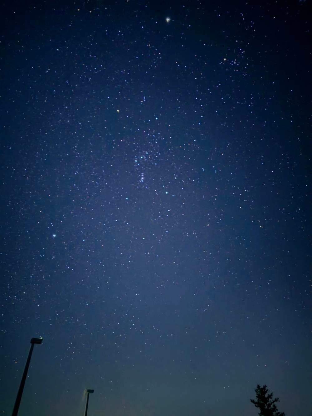 오리온(Orion) - 가읋 밤하늘 별자리 - Samsung Members