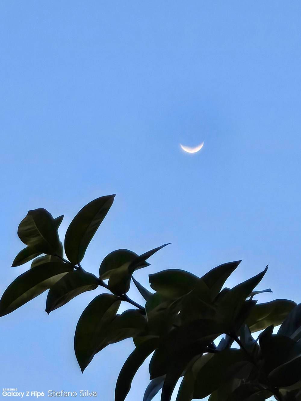 📸 Lua ~ Galaxy Z Flip 6 📱 - Samsung Members