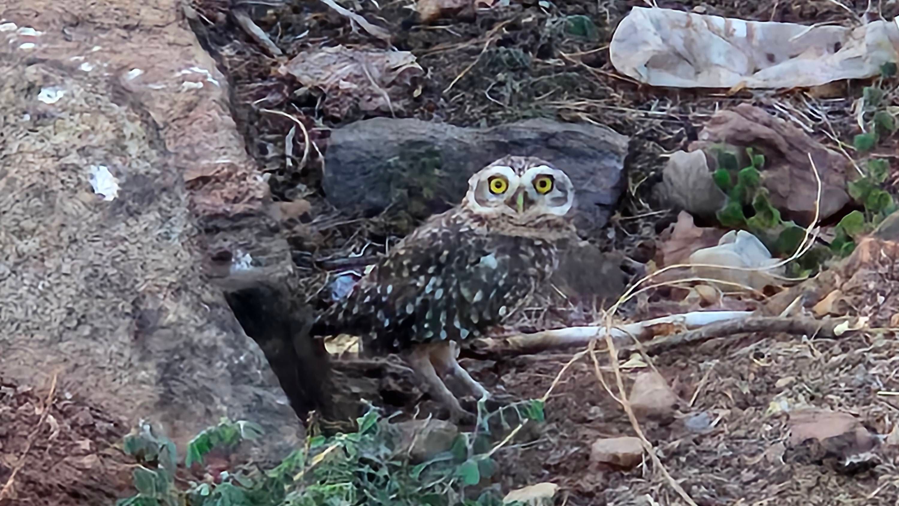 O zoom do S23 é incrível - Página 2 - Samsung Members