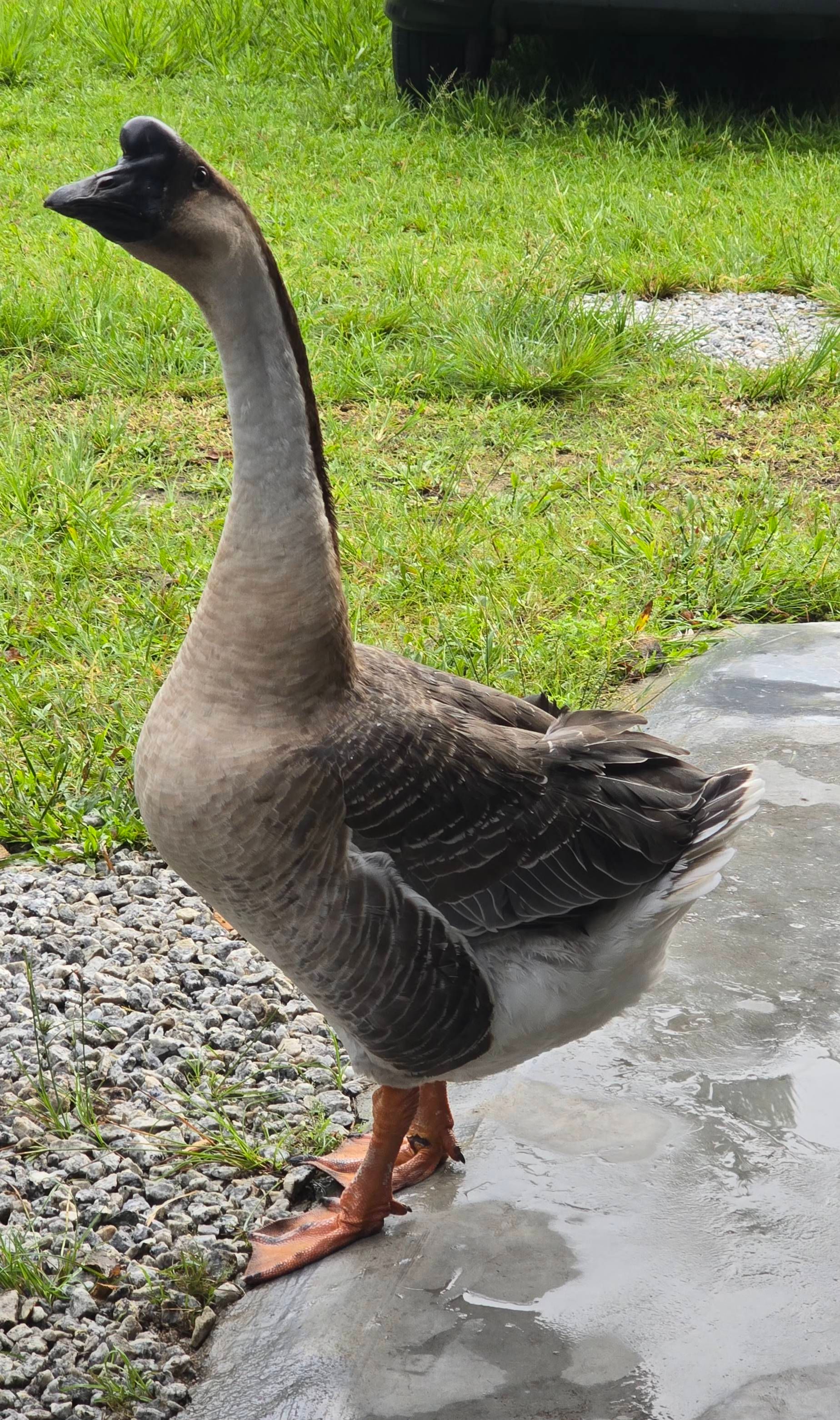 Msti ramai ada sejarah dengan beliau ni...hahaha #... - Samsung Members