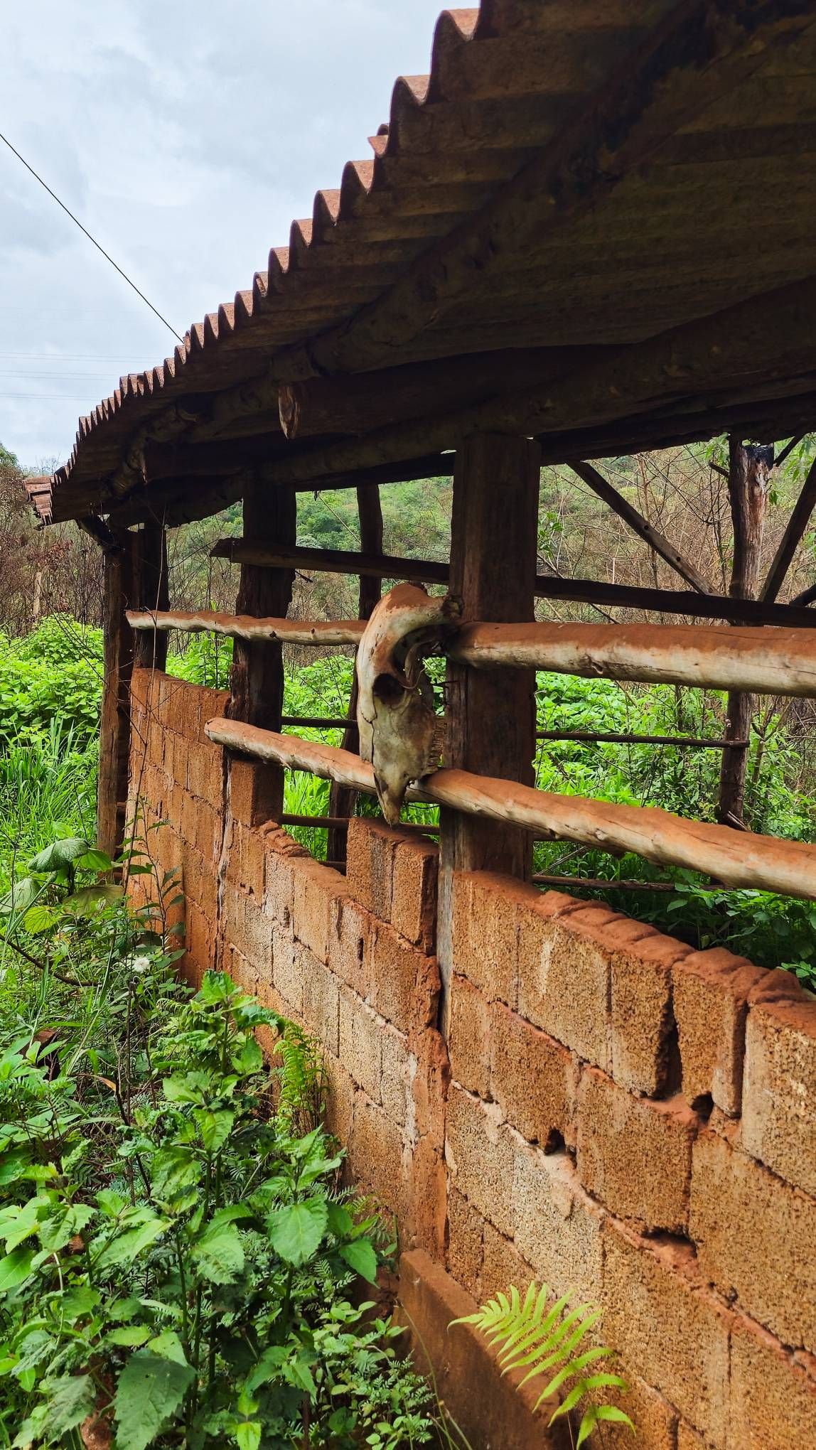 Curral abandonado - Samsung Members