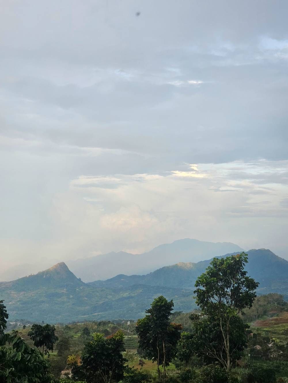 Lukisan alam - Samsung Members