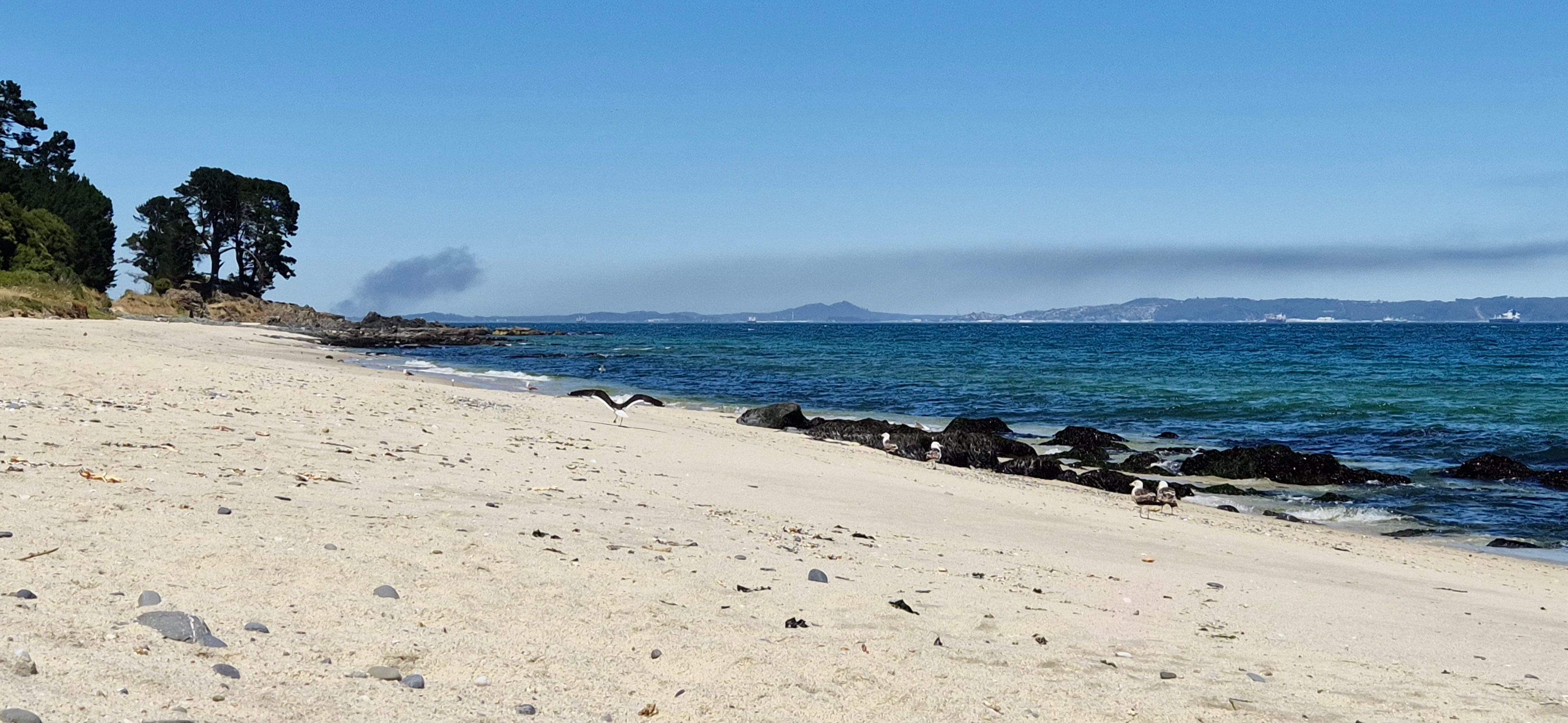 Playa - Samsung Members