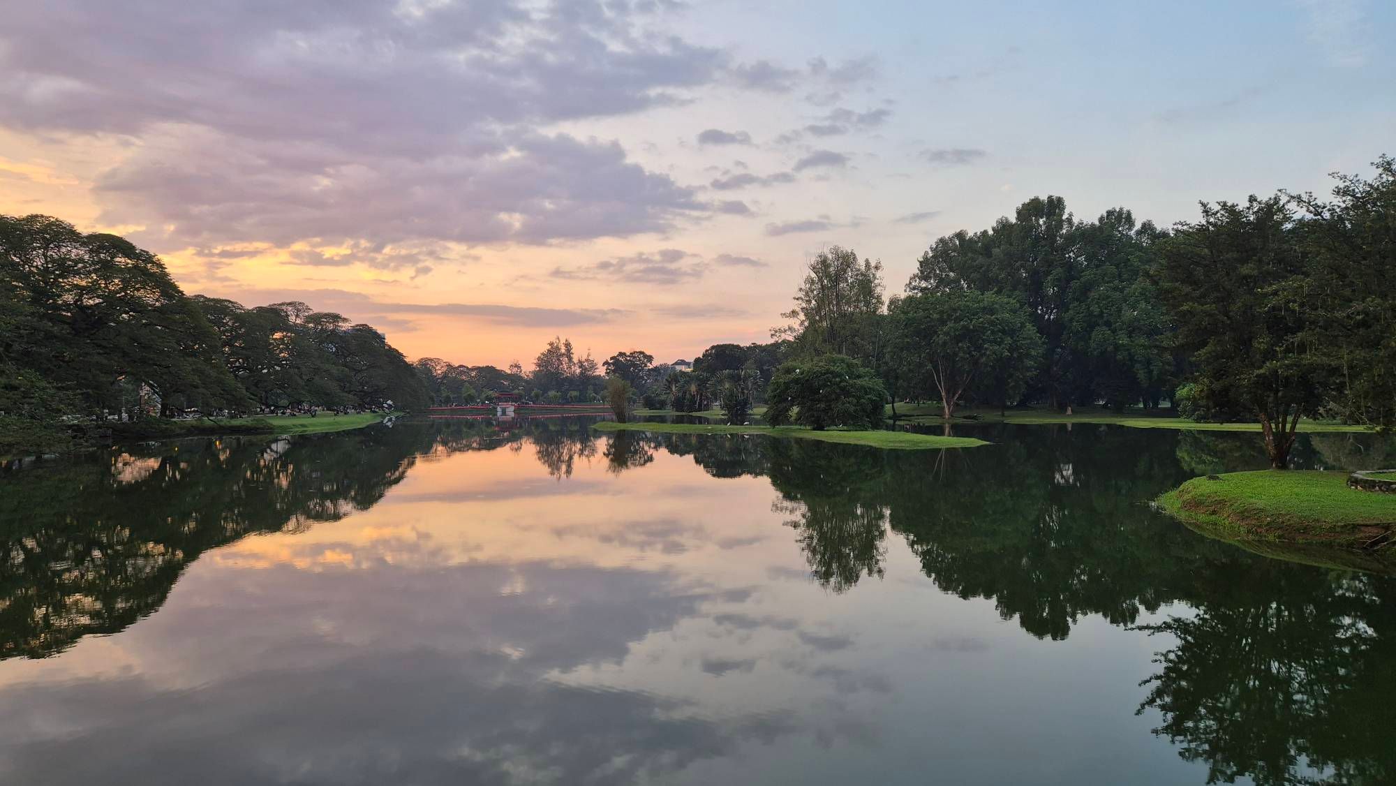 Reflections - Samsung Members