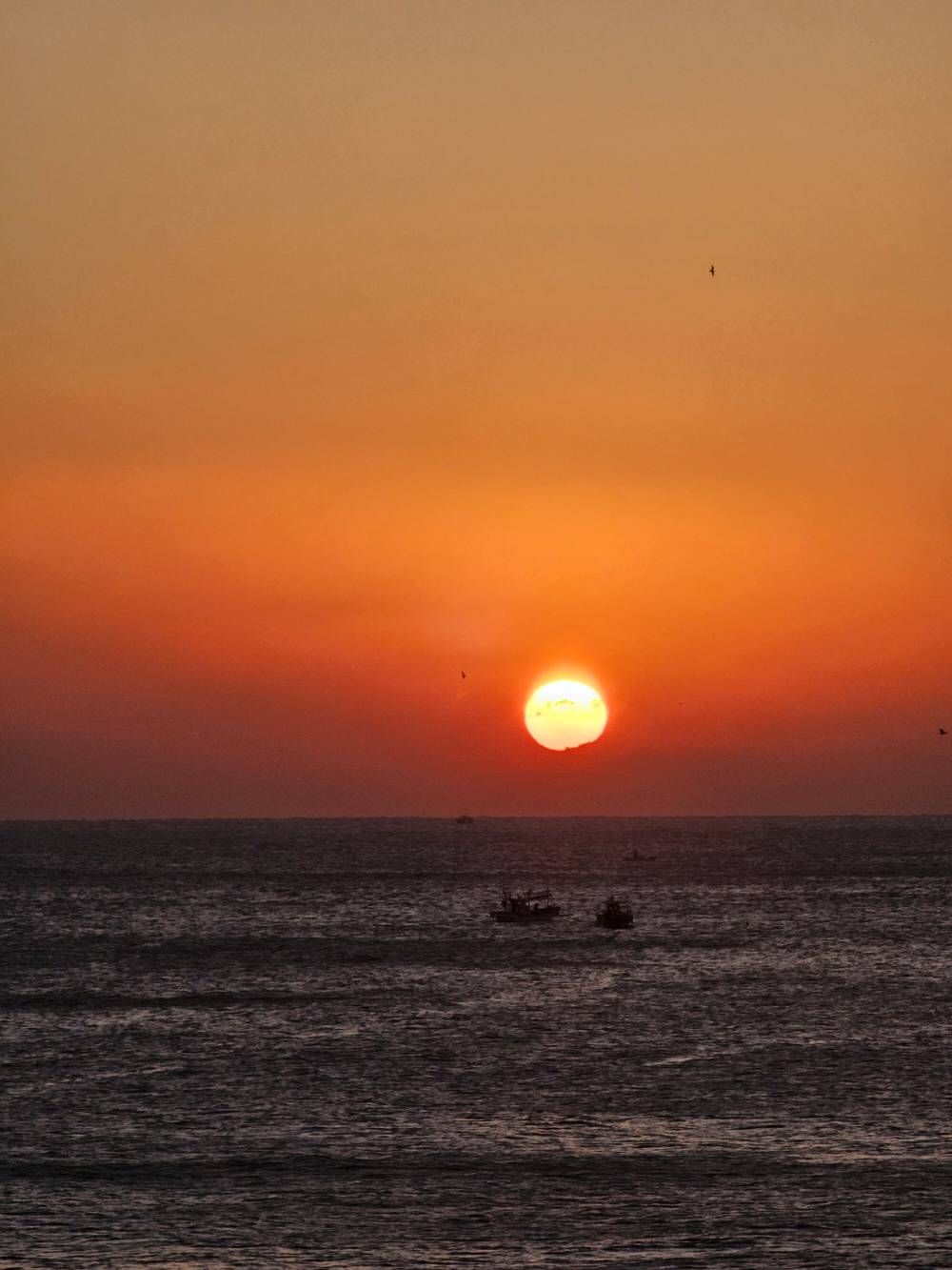 을사년 새해 복 많이 받으세요 - Samsung Members