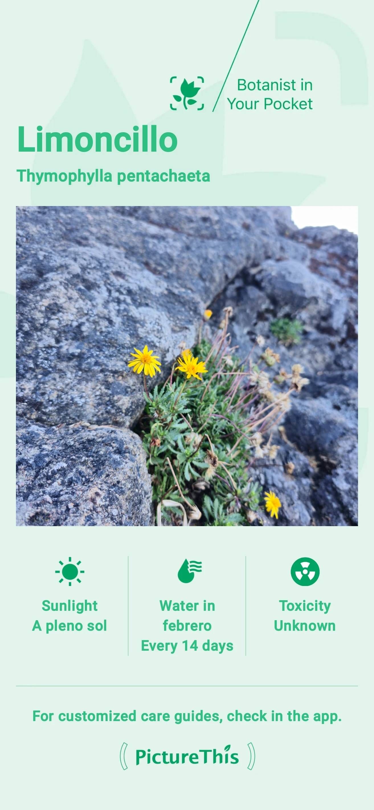 La vida se abre camino incluso entre las rocas. - Samsung Members