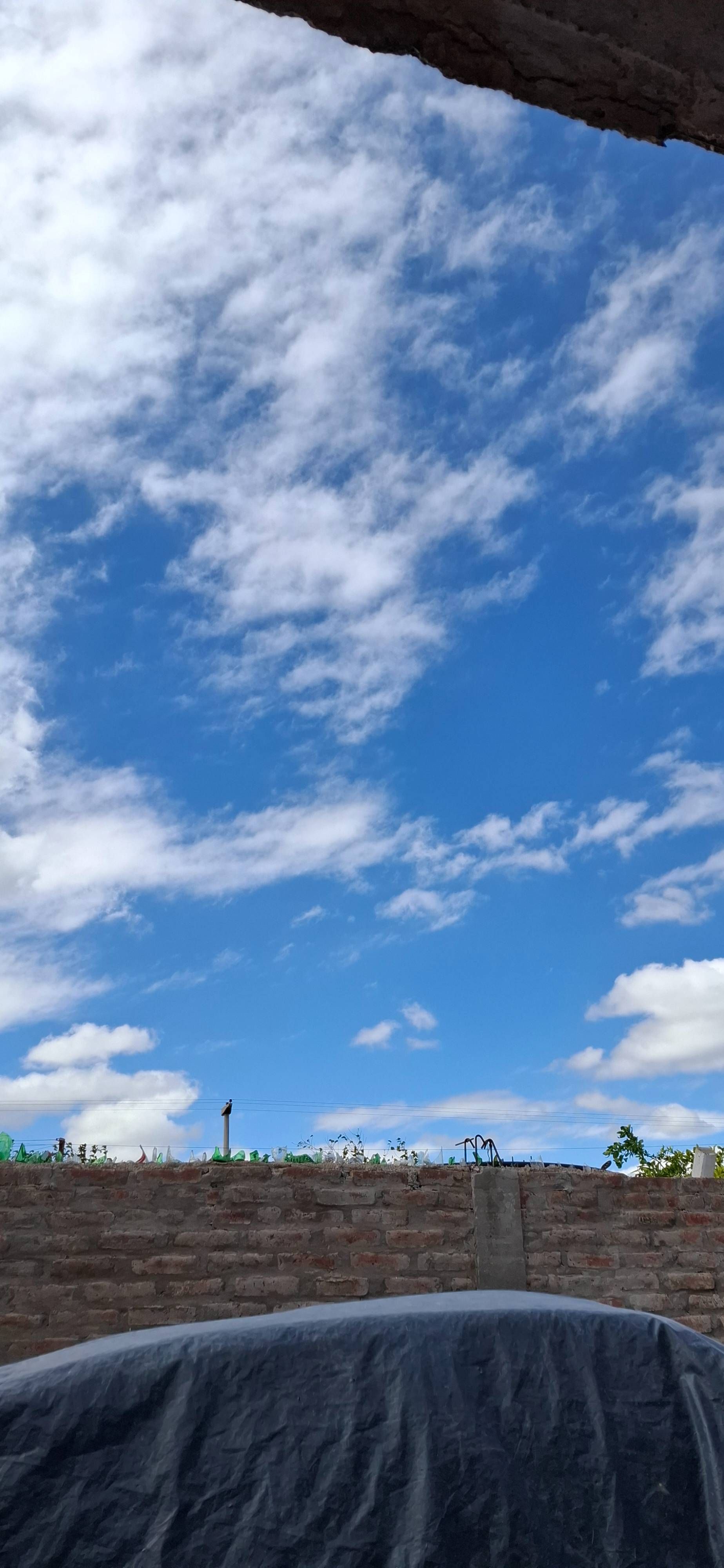 ¡Día fresco en San Juan! - Samsung Members