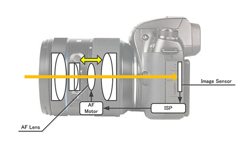 Segala Yang Perlu Diketahui Tentang Auto Focus - Samsung Members